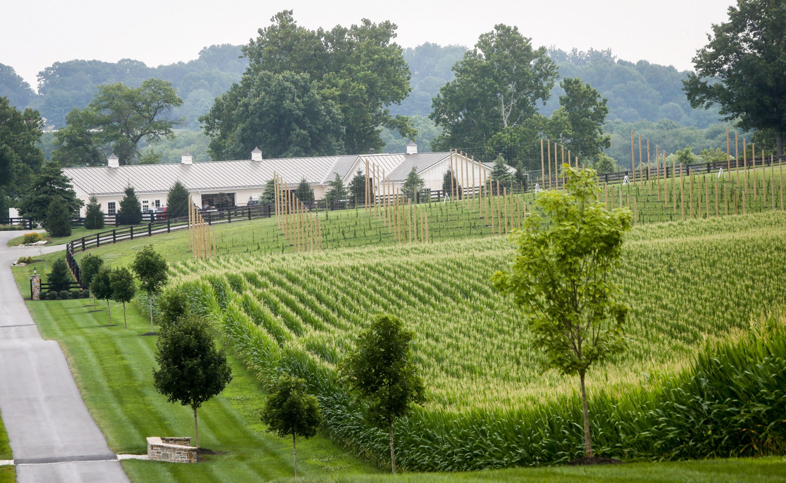 About - Manor Hill Brewing